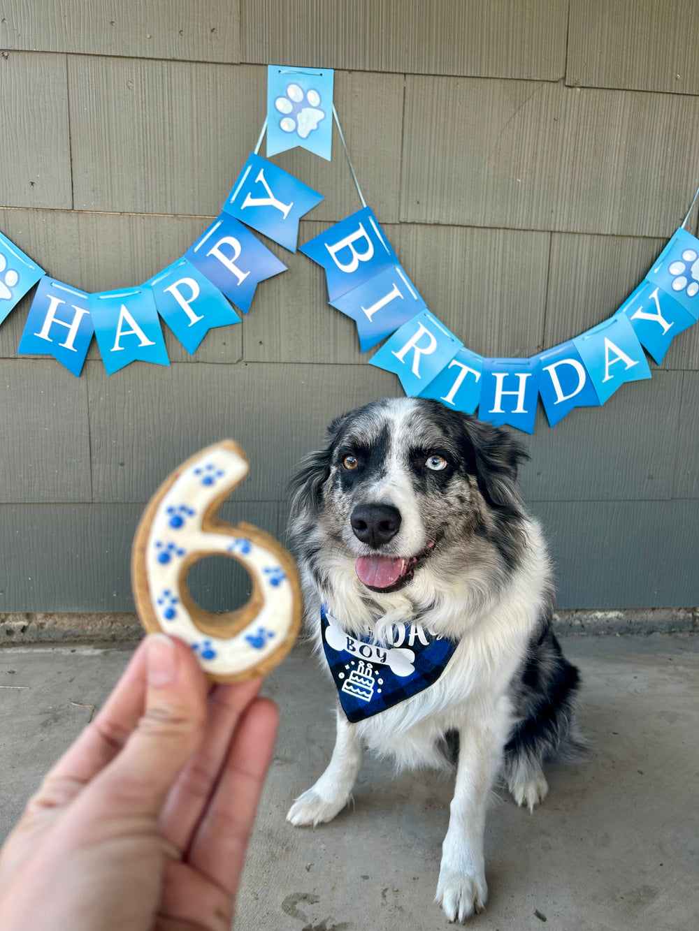 AJ's Dog Bakery – AJ's Dog Bakery