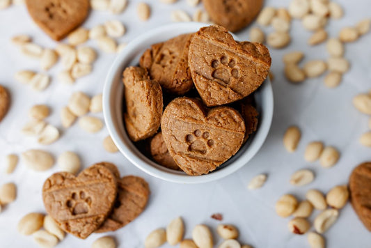 Signature Treats 🐾 – AJ's Dog Bakery